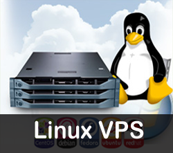 Linux Web Hosting USA & UK | Single Domain Linux Hosting – AGM Web Hosting