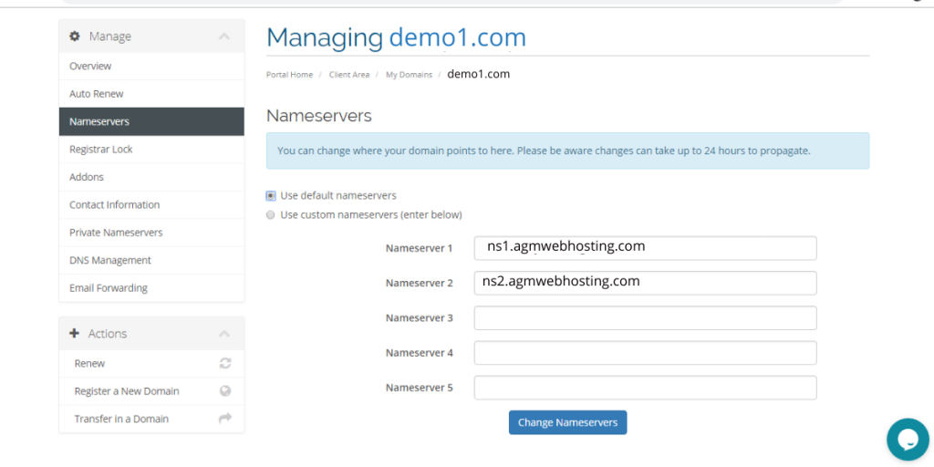 How to set the NameServer of a Domain? Tech Guide